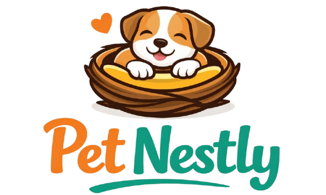 Portable Pet Water Bottle with Food Container – Travel Feeder for Dogs ...