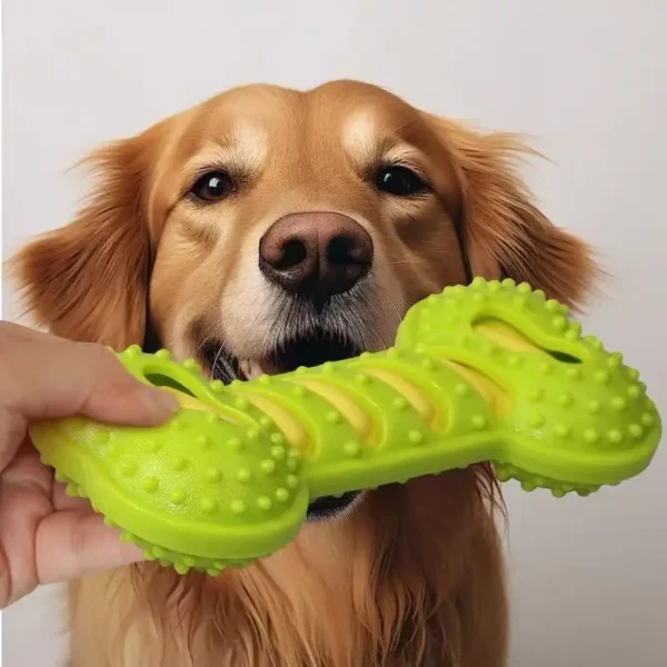 Durable Rubber Dog Chew Toy – Bite-Resistant Interactive Bone for ...